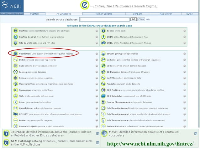 Data Retrieval Systems | PDF