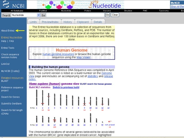 Data Retrieval Systems | PDF