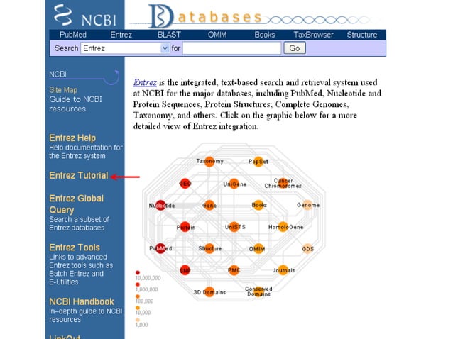 Data Retrieval Systems | PDF
