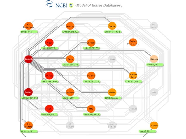 Data Retrieval Systems | PDF