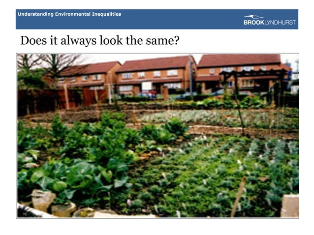 Understanding Environmental Inequality | PPT | Home & Garden