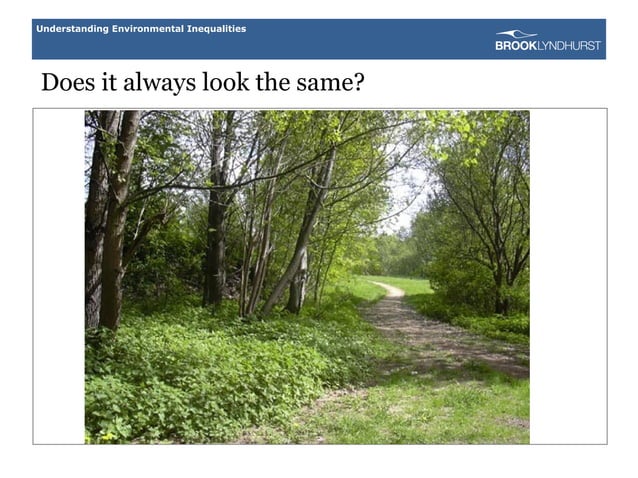 Understanding Environmental Inequality | PPT