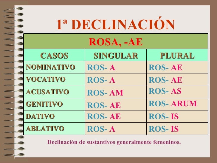 1ª Declinación