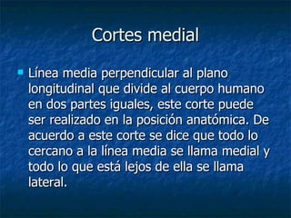 1. definición de anatomía humana | PPT