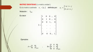Definión de matrices y tipos de matrices.pdf