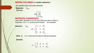 Definión de matrices y tipos de matrices.pdf