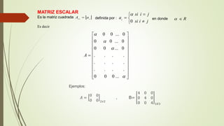 Definión de matrices y tipos de matrices.pdf