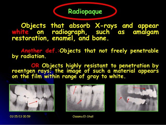 1 dental radiology