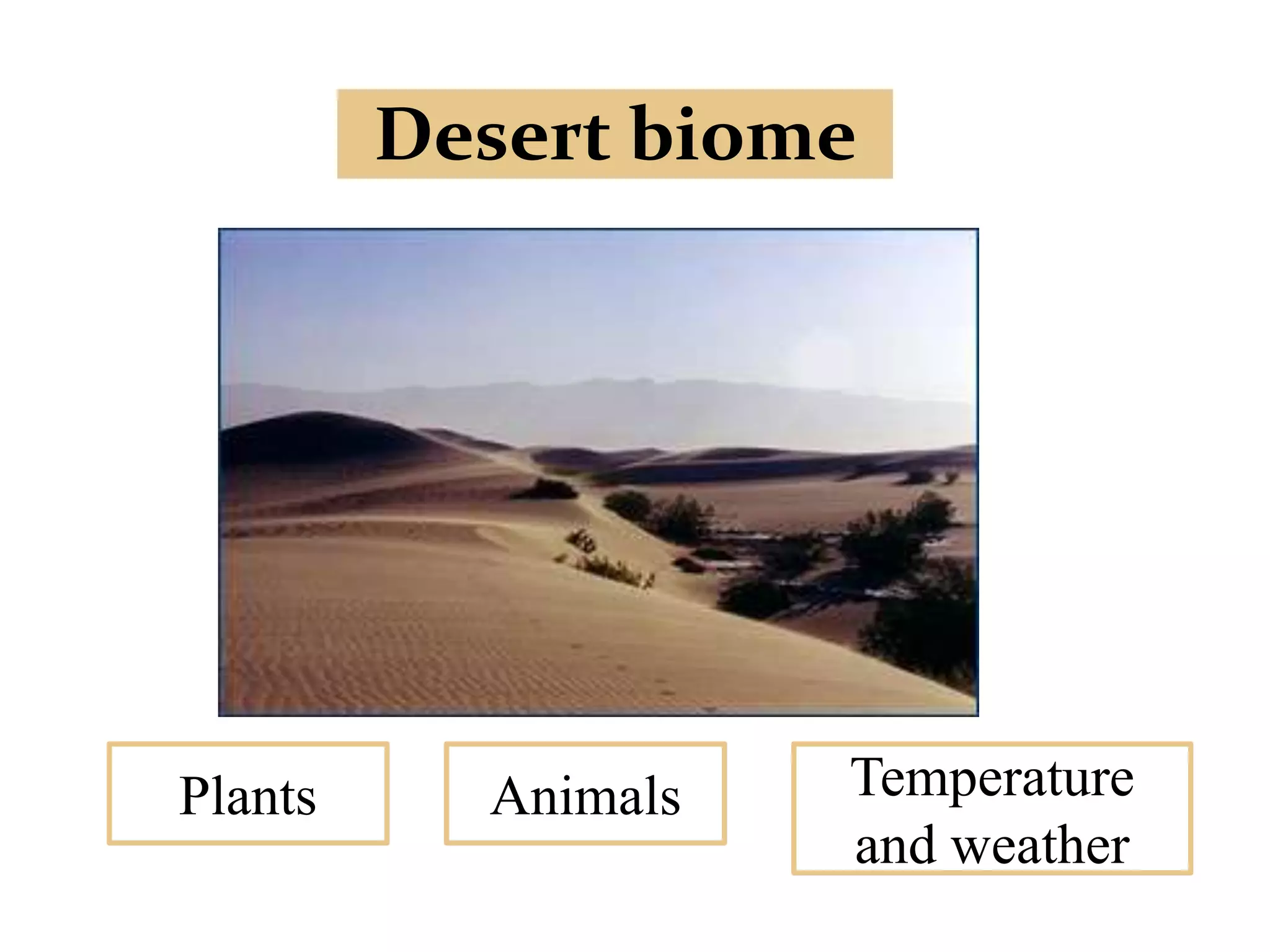 1 desert biome | PPTX