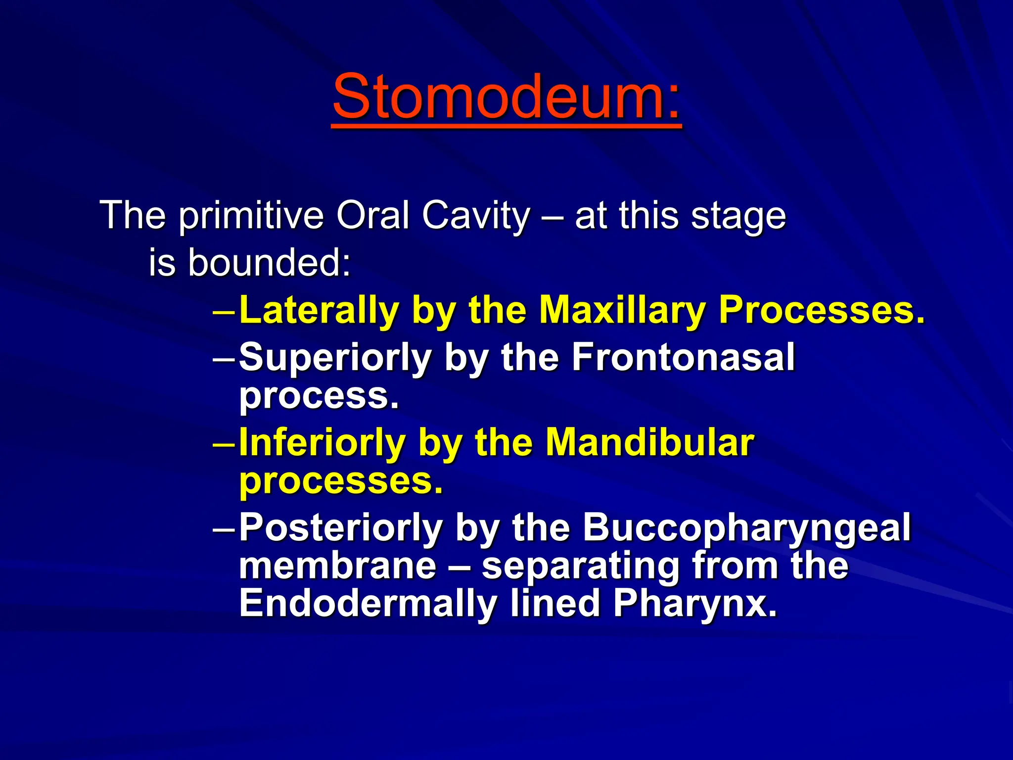1-developmentoffaceoralcavity-240204111937-3569a56f.pdf