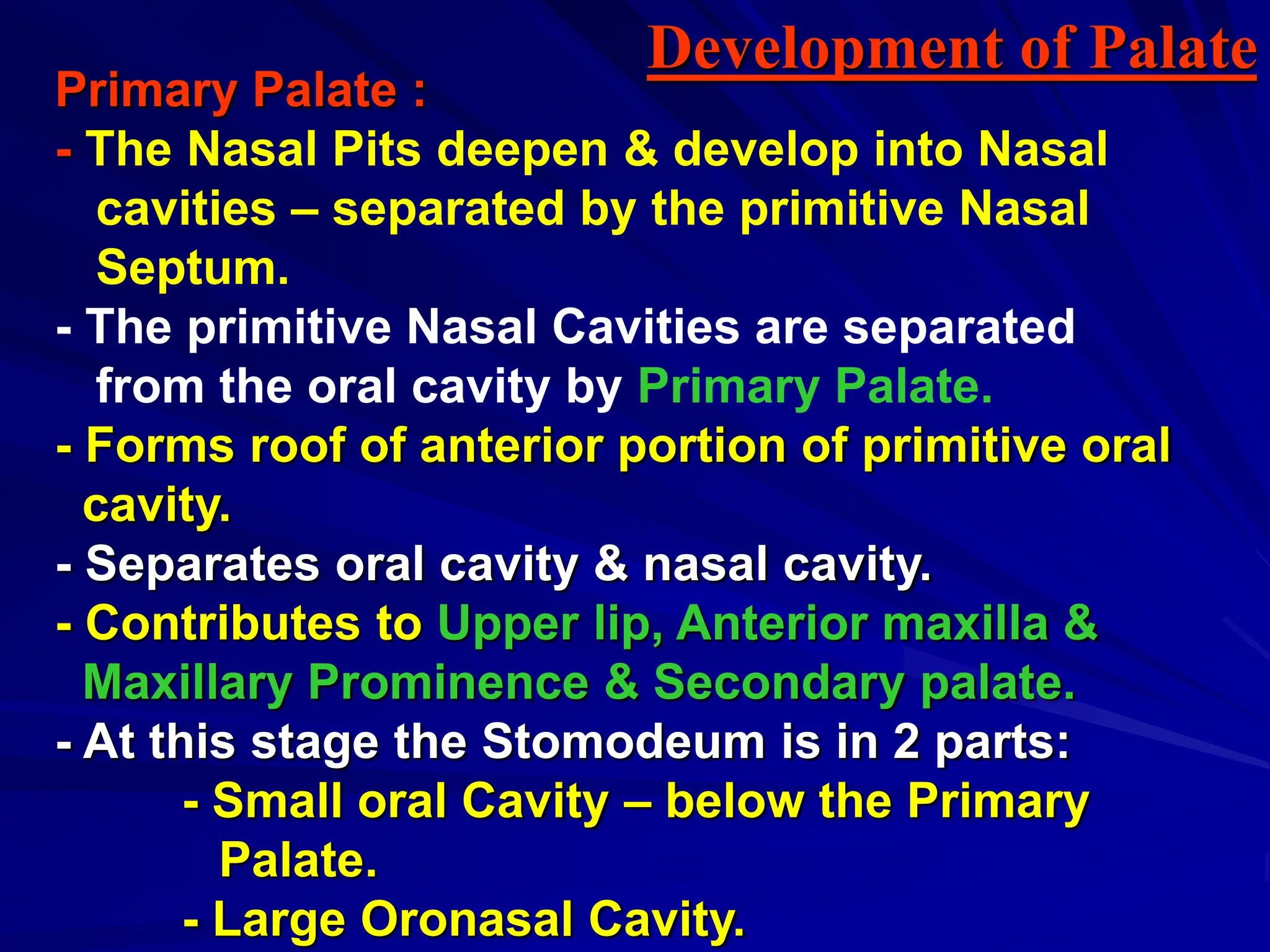 1-developmentoffaceoralcavity-240204111937-3569a56f.pdf