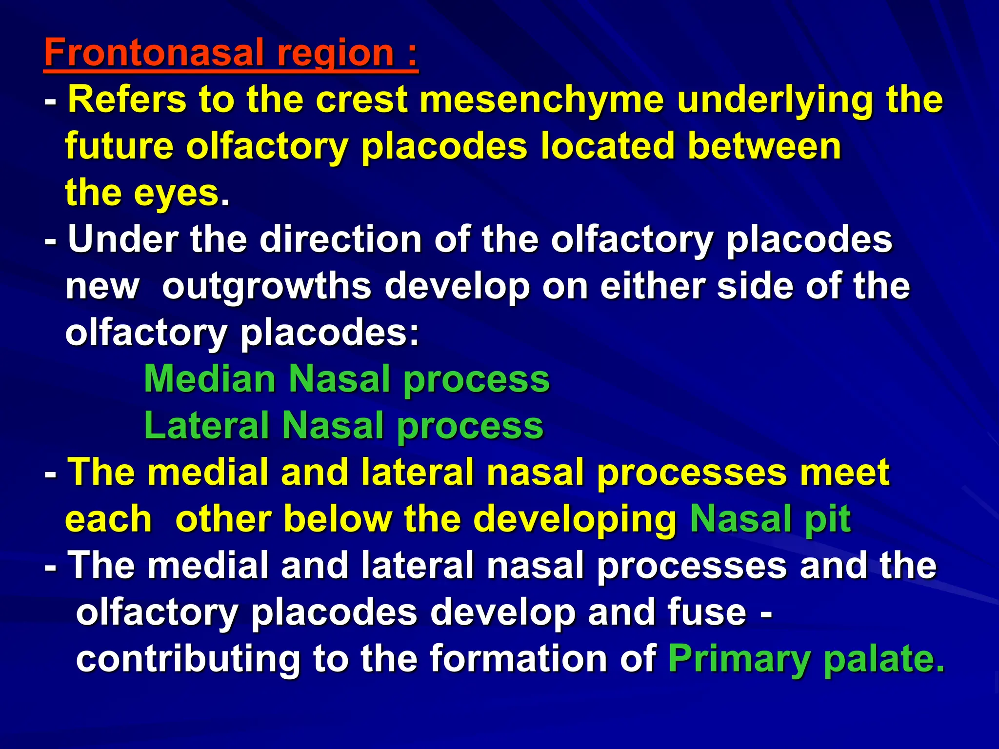Development of Face & Oral cavity.ppt