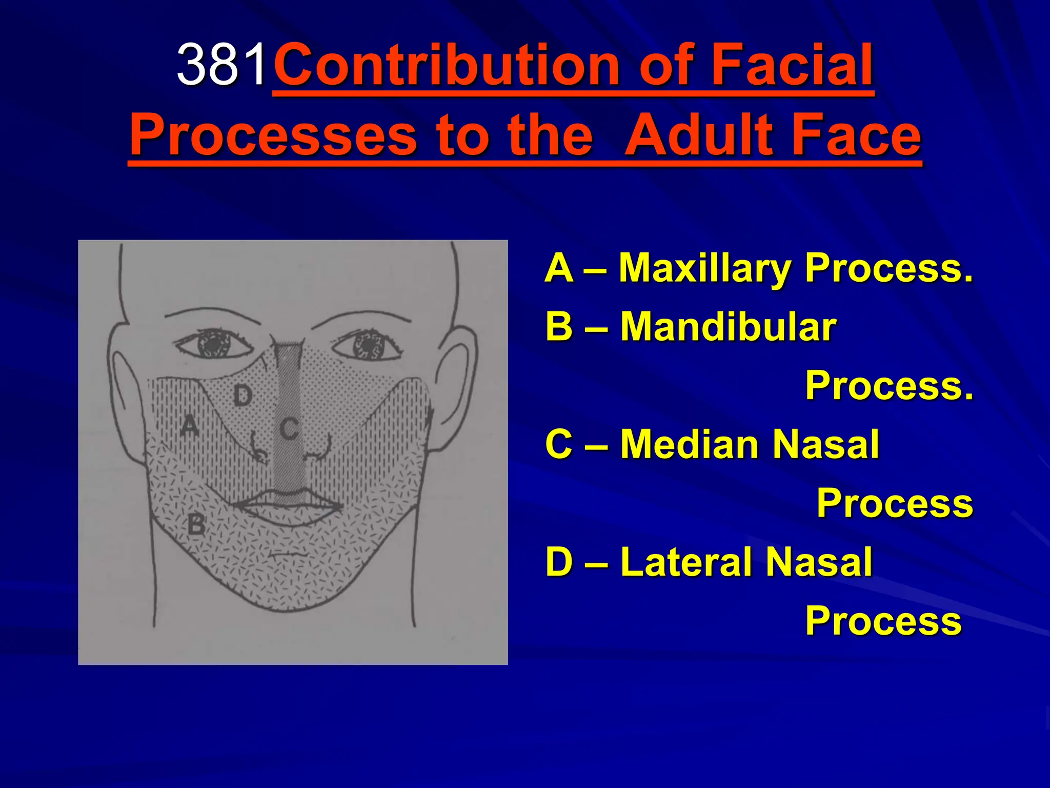 Development of Face & Oral cavity.ppt