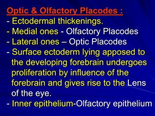 Development of Face & Oral cavity.ppt