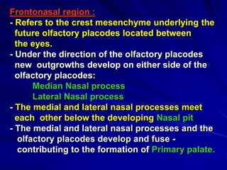Development of Face & Oral cavity.ppt
