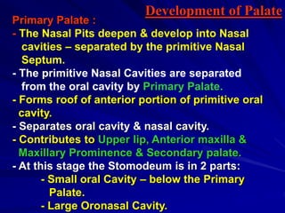Development of Face & Oral cavity.ppt
