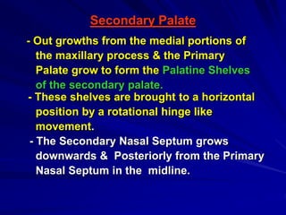 Development of Face & Oral cavity.ppt