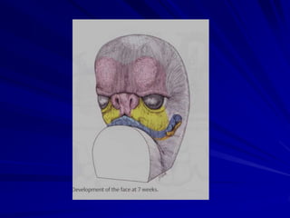 Development of Face & Oral cavity.ppt