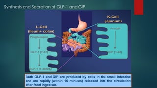 1-Diabetes pathology & Medical knowledge .pptx