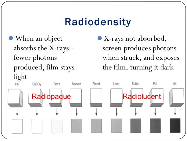 1 diagnostic imaging