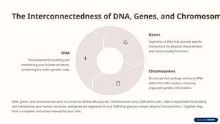 1- DNA-Genes-and-Chromosomes-Your-Bodys-Instruction-Manual.pptx