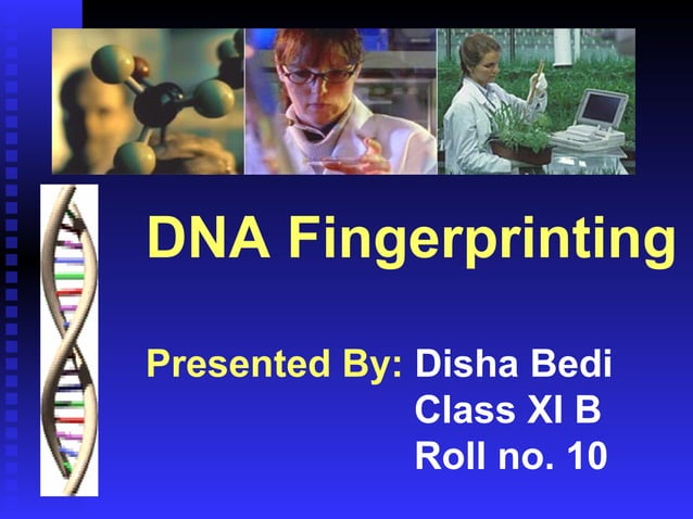 DNA Fingerprinting | PPT | Genetics | Science