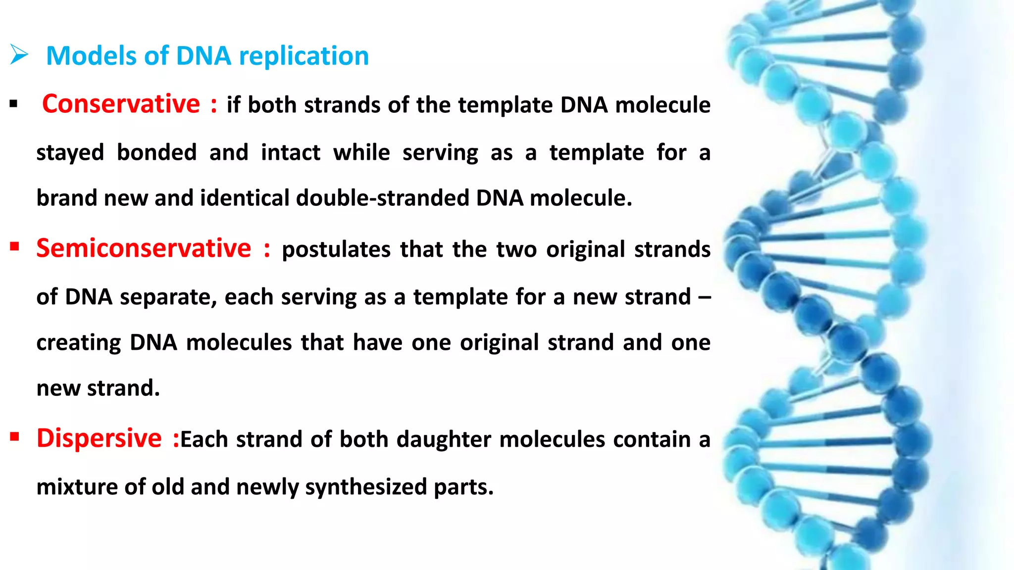 DNA replication .pptx