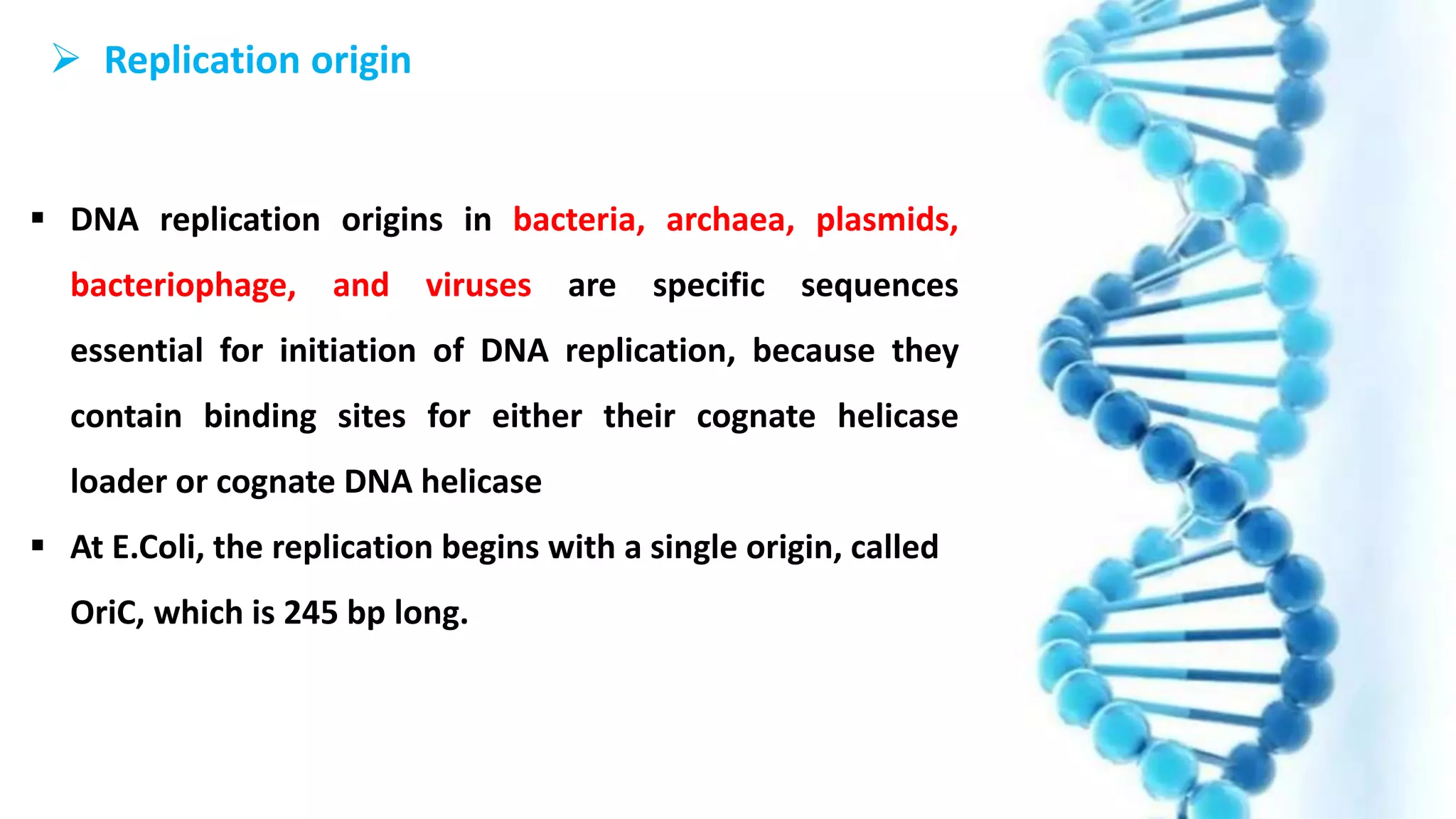 DNA replication .pptx