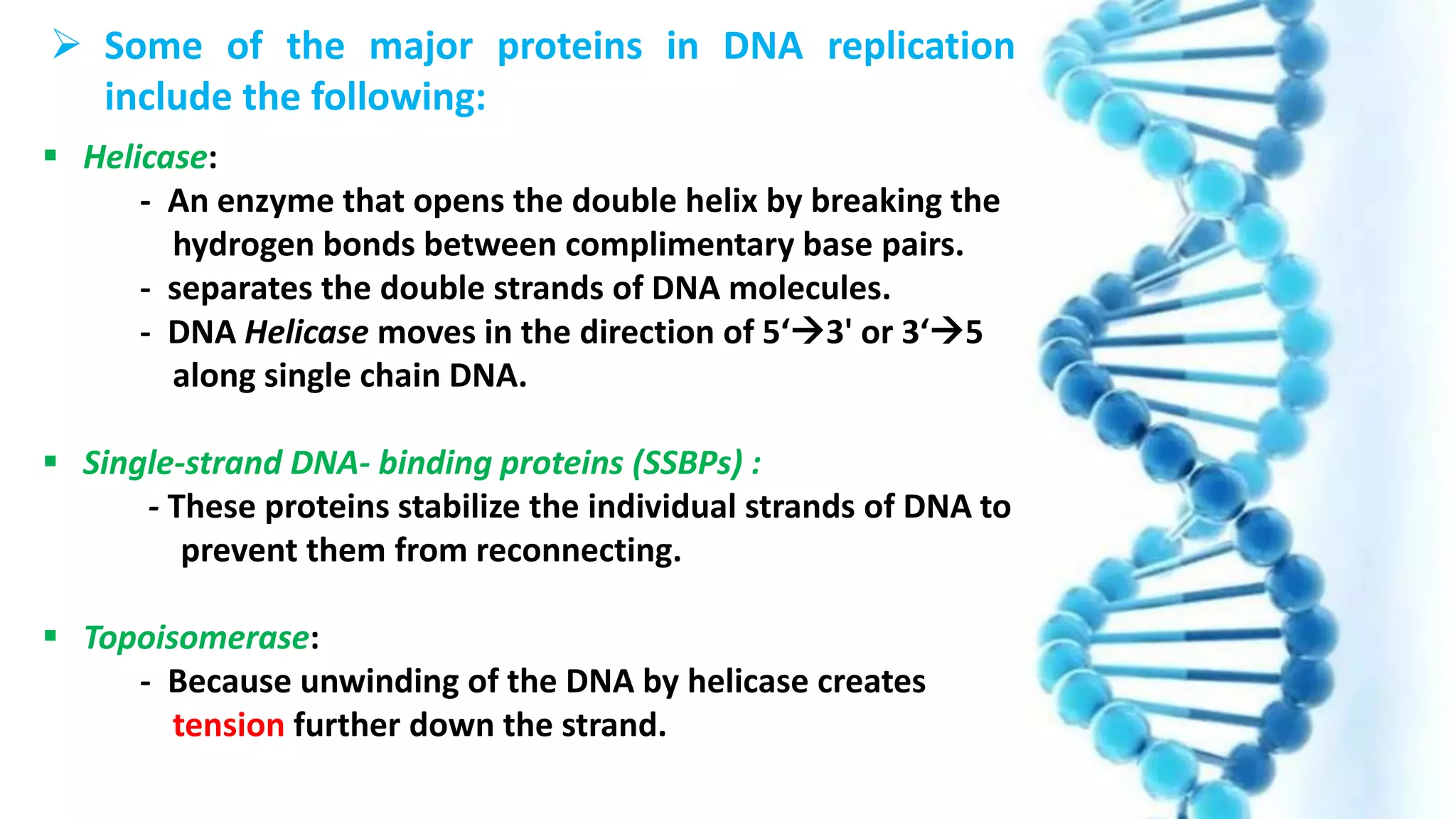 DNA replication .pptx | Chemistry | Science