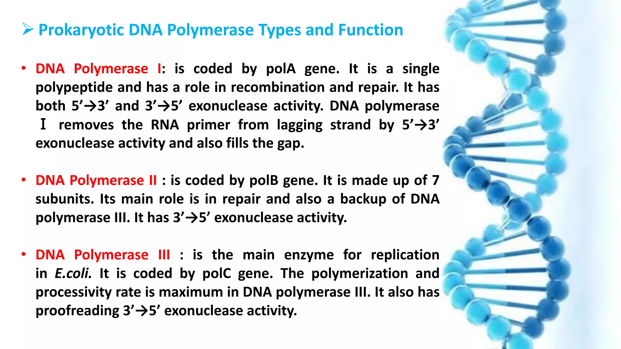 DNA replication .pptx