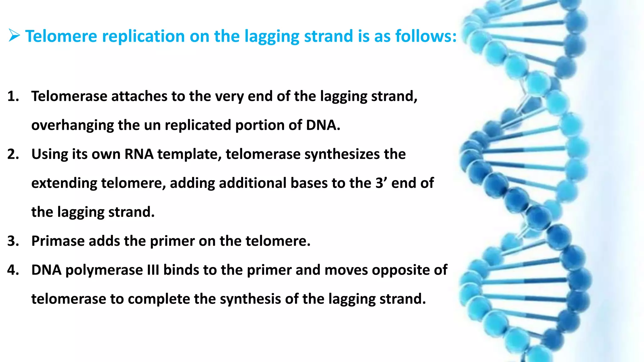 DNA replication .pptx