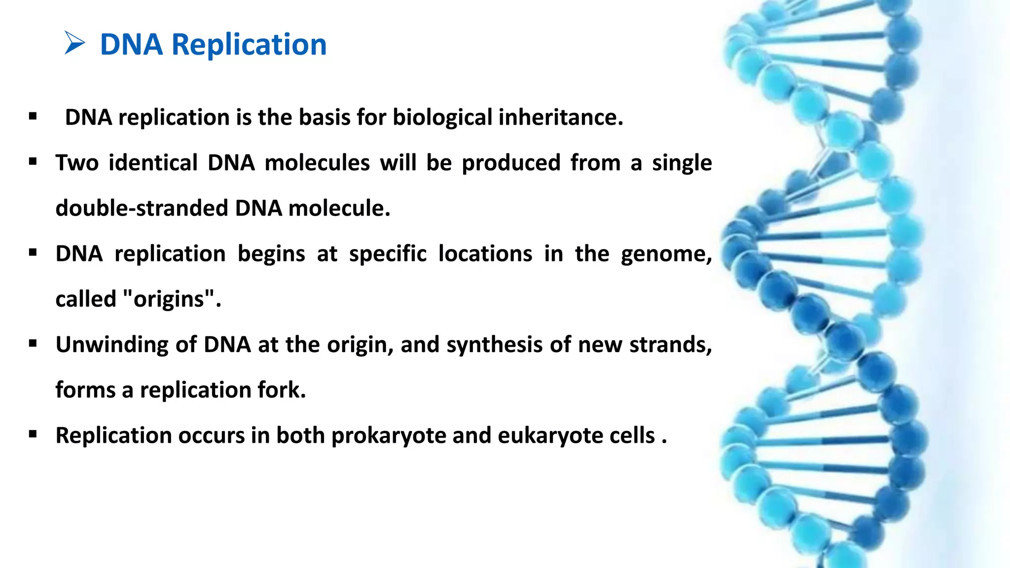 DNA replication .pptx