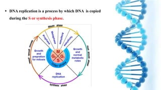 DNA replication .pptx
