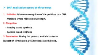 DNA replication .pptx