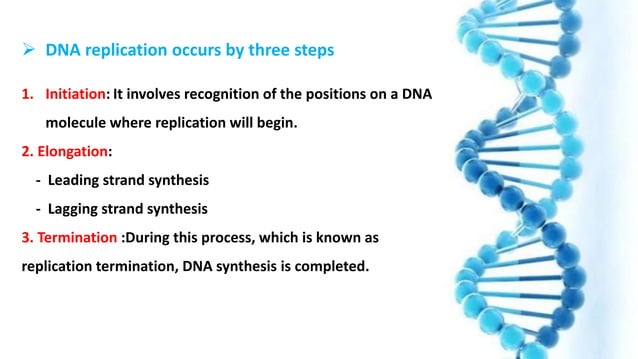 DNA replication .pptx | Chemistry | Science