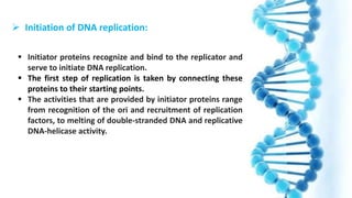 DNA replication .pptx