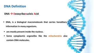 DNA replication .pptx