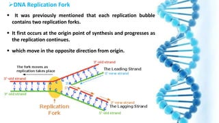 DNA replication .pptx