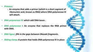 DNA replication .pptx