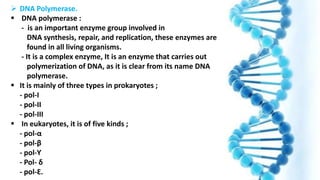 DNA replication .pptx