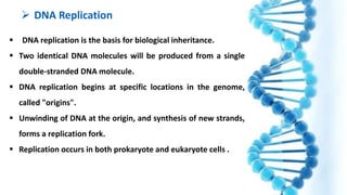 DNA replication .pptx