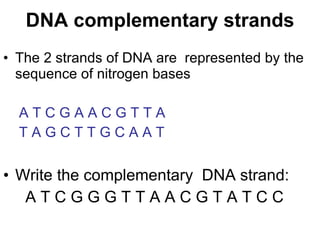 DNA Structure | PPT
