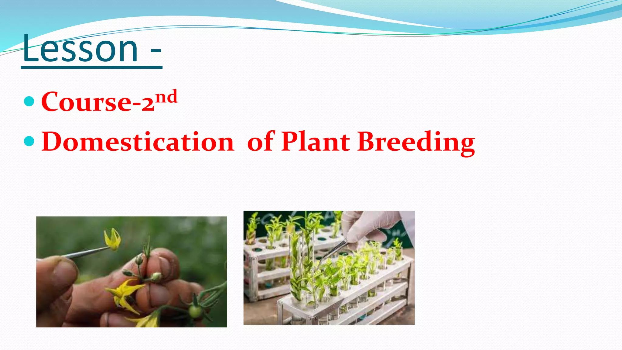 Domestication of plant breeding | PPTX