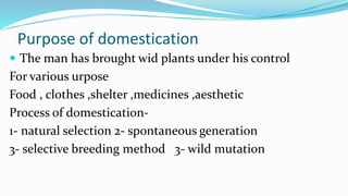 Domestication of plant breeding | PPTX
