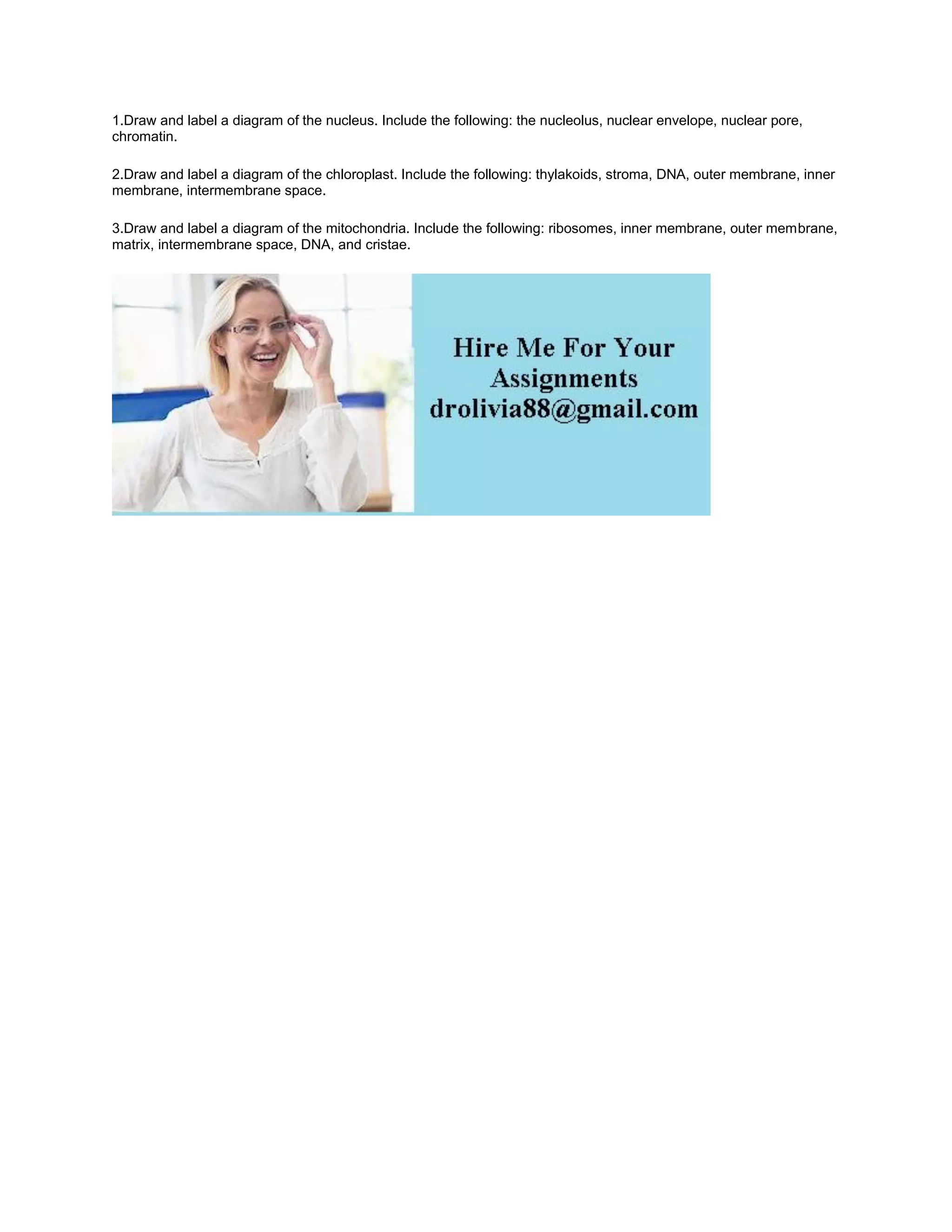 1-Draw and label a diagram of the nucleus- Include the following- the.pdf | Biological Sciences ...