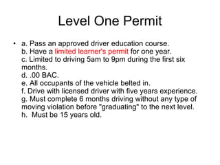 The Purpose of Driver Lincensing | PPTX | Auto Type | Automotive