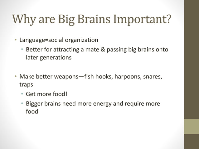 1 earliest human societies | PPTX | Geography | Science