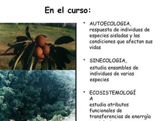 Ecologia y niveles. Comunidades y ecosistemasAnabel-2020.pptx