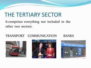 1. economic sectors | PPT