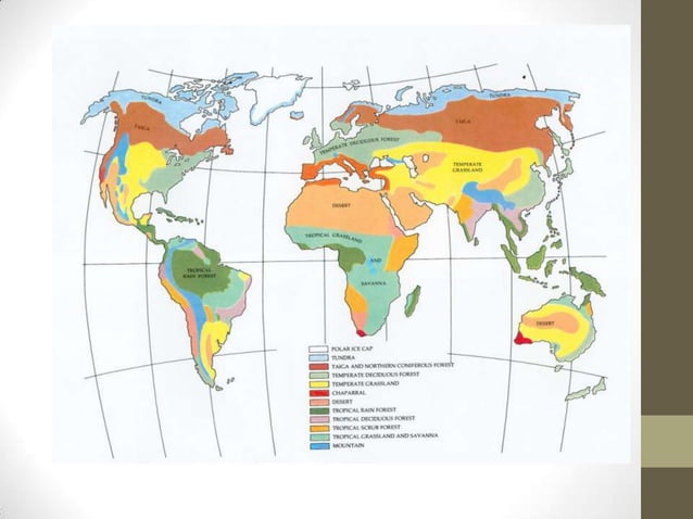 1 Ecosystems Introduction Ppt